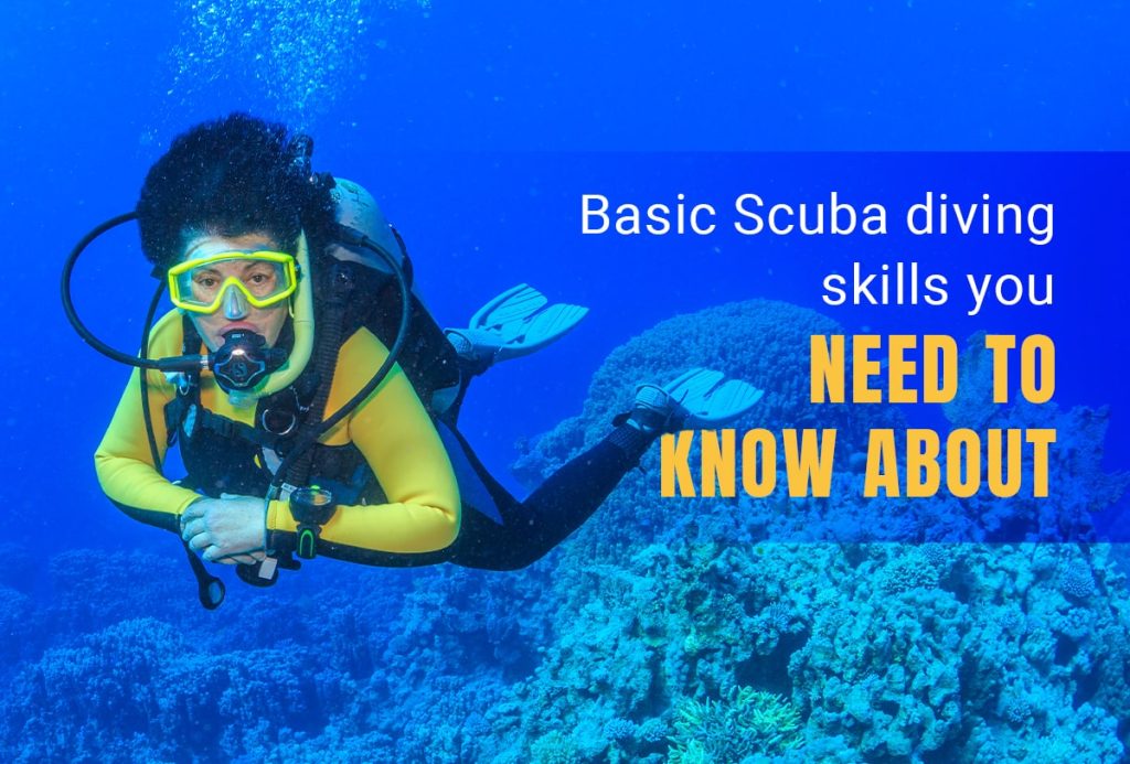 Basic Scuba Diving Skills you need to know About - Pursueit Blogs